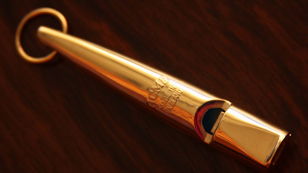 Fluierul vrăjit | TINERETOLTENIA.RO